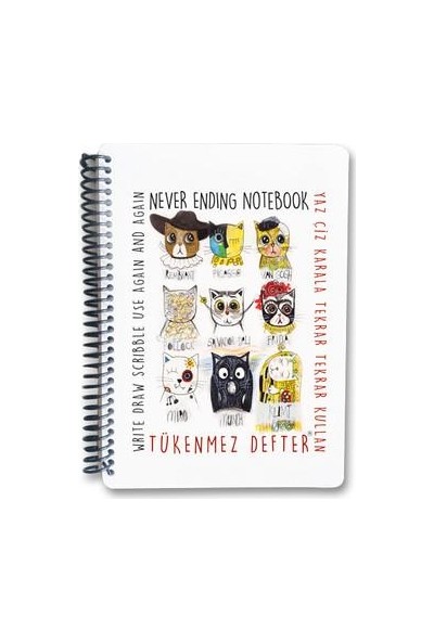 Funny Not Defteri Tükenmez Ressam Kediler 2