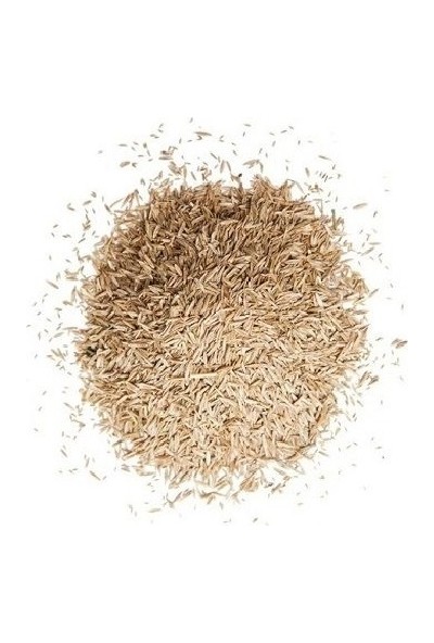 Plantistanbul 4m Gold %30 Su Tasarruflu Çim Tohumu 1 Kg Plantistanbul 4m Gold %30 Su Tasarruflu Çim Tohumu 1 Kg