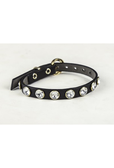 Elite Siyah Tamamen Savaroski Taşlı Rivetli 1 cm Metal Tokalı Kedi Tasması Elite Siyah Tamamen Savaroski Taşlı Rivetli 1 cm Metal Tokalı Kedi Tasması