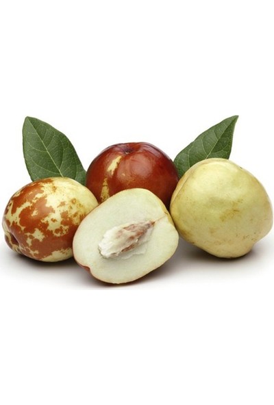 Hastat Hünnap Meyvesi 1 kg