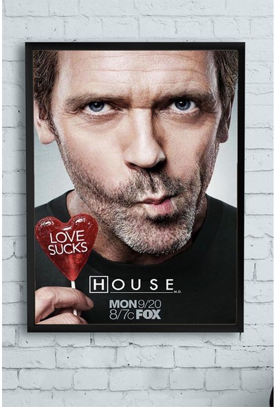 Postermanya House M.D. Dizi Afişi Çerçeveli Tablo 2 21 x 30 cm