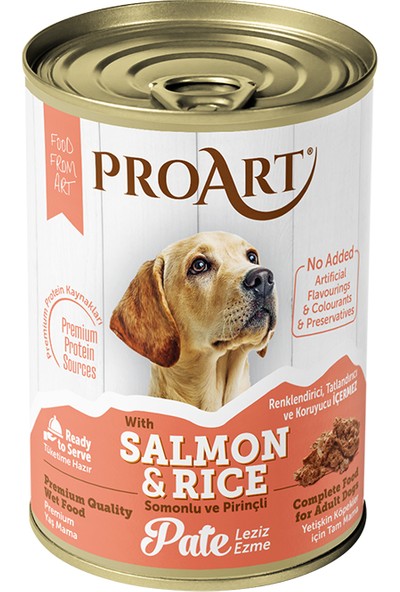 Proart Somonlu ve Pirinçli Ezme Yetişkin Köpek Konserve Maması 400 gr Proart Somonlu ve Pirinçli Ezme Yetişkin Köpek Konserve Maması 400 gr