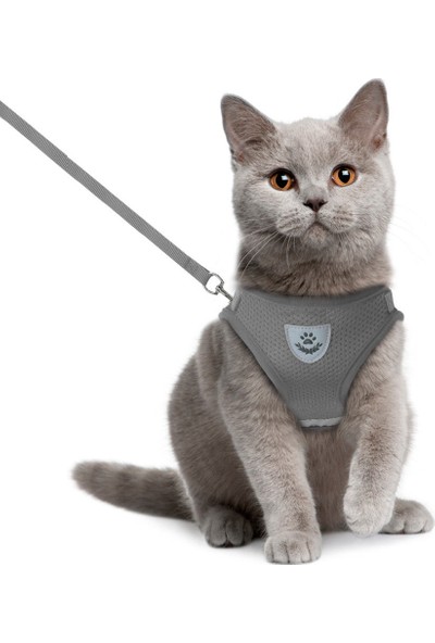 Şencanlar Kedi Köpek Yansıtıcılı Tasma Gri