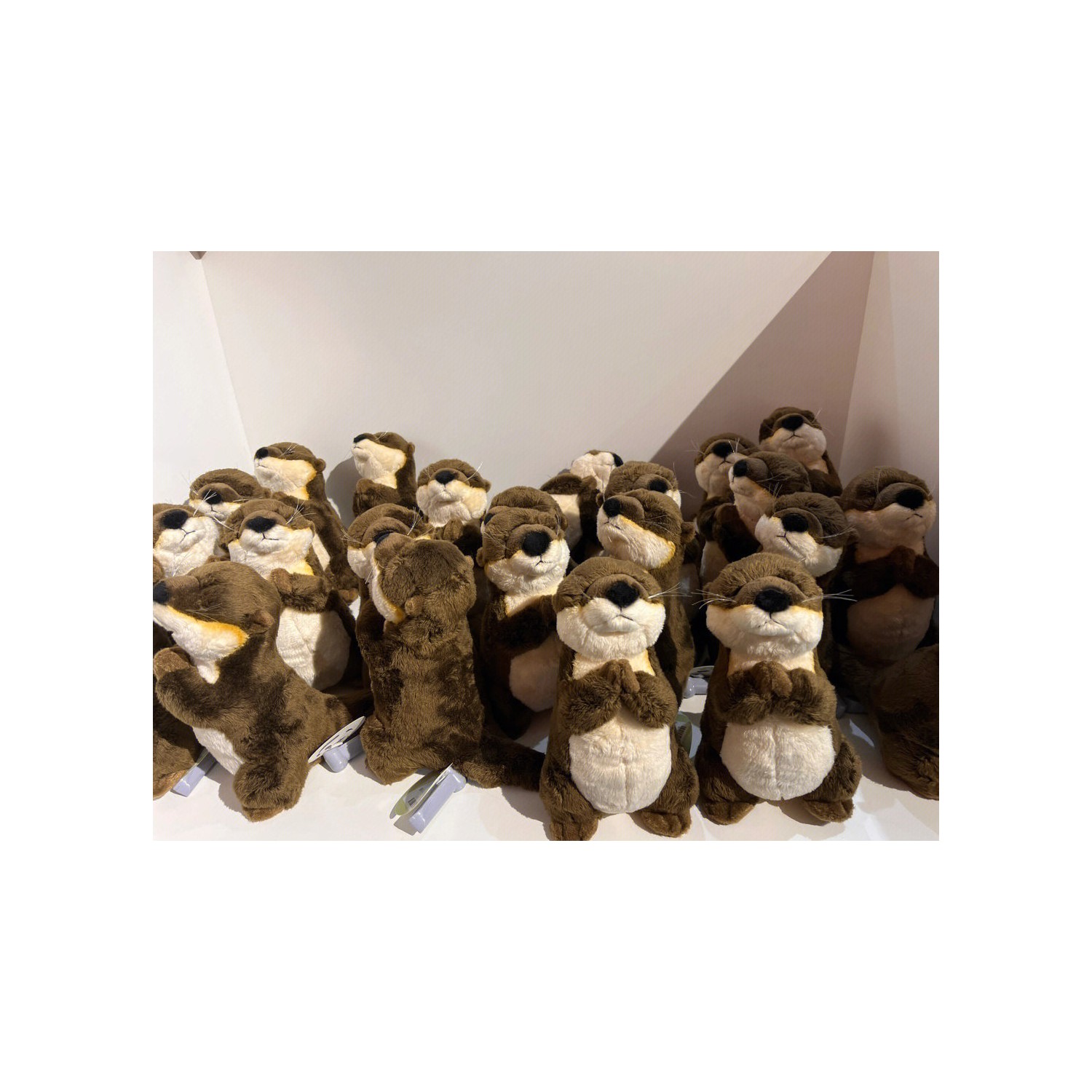 Cancer 048 Sevimli Nimet Su Samuru Bebek Deniz Samuru Peluş Fiyatı