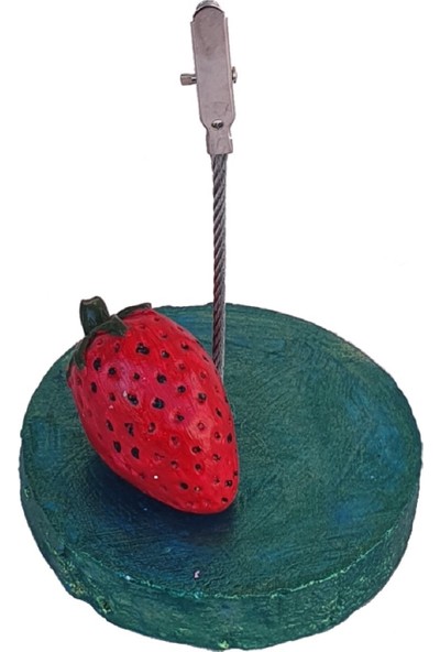 Merland Çilek Görselli Not Tutacağı