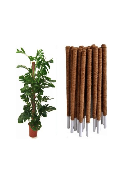 Bahçem Koko Sarmaşık Destek Çubuğu 90 cm