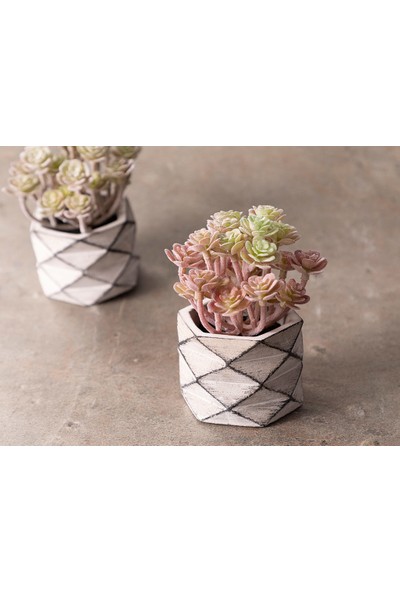 English Home Succulent Ball Çimento Vazolu Yapay Çiçek 11,5x11,5x11,8 cm Pembe English Home Succulent Ball Çimento Vazolu Yapay Çiçek 11,5x11,5x11,8 cm Pembe