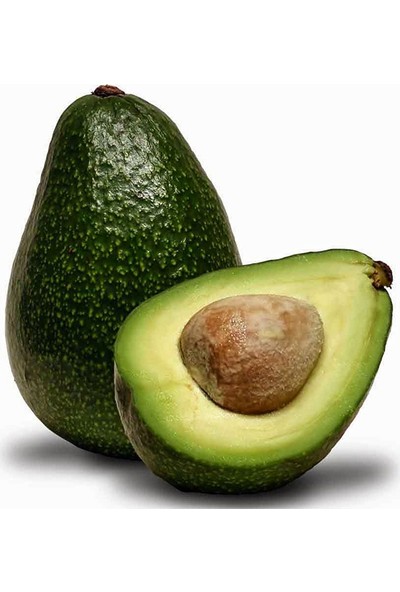Meyve Ağacım Avokado 5'li
