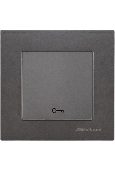 Mutlusan Rita Füme Kapı Otomatiği Çerçeveli