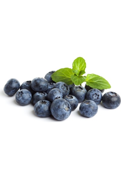 Tazece Yaban Mersini 125 gr