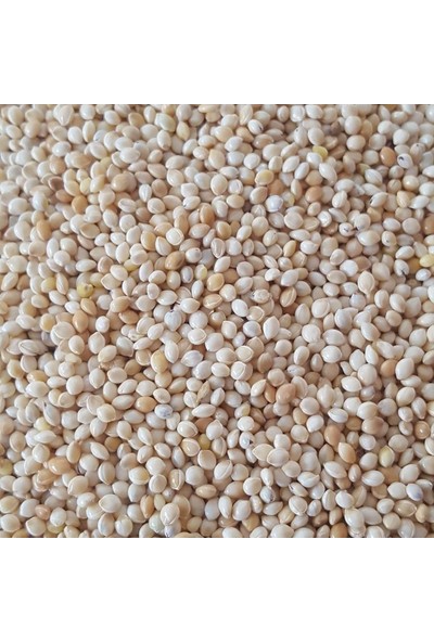 Şampiyon Muhabbet Kuşu Yemi Sade Ak Darı 1 kg