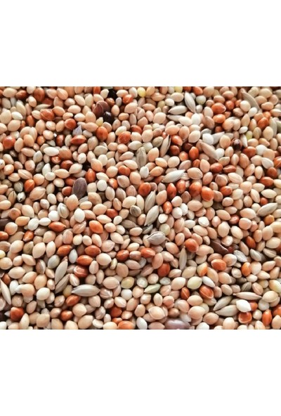 Şampiyon Karışık Muhabbet Kuşu Yemi 5 kg