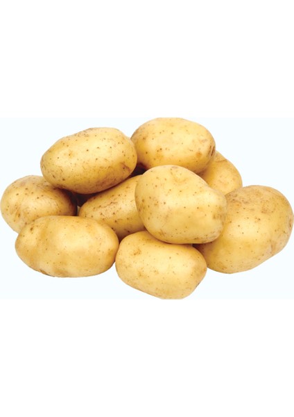 Patates 500 gr Fiyatı, Taksit Seçenekleri ile Satın Al