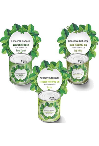 Konserve Bahçem Nane + Kekik + Fesleğen 3'lü Yetiştirme Kiti