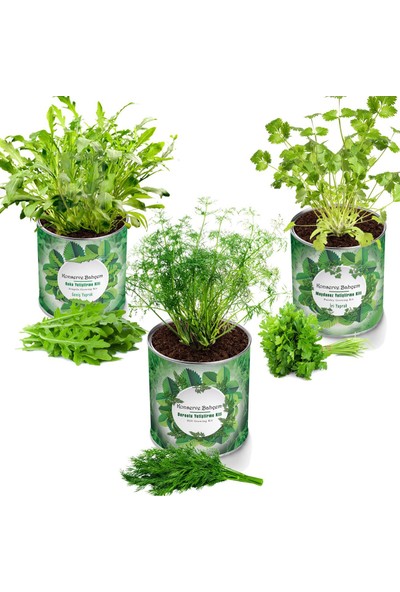 Konserve Bahçem Maydanoz + Dereotu + Roka 3'lü Yetiştirme Kiti