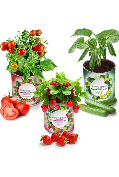 Konserve Bahçem Çilek + Salatalık + Domates 3'lü Yetiştirme Kiti Konserve Bahçem Çilek + Salatalık + Domates 3'lü Yetiştirme Kiti