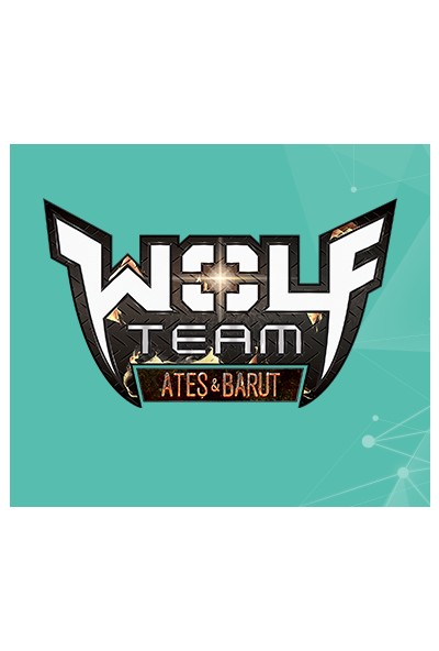 Wolf Team 5.000 Joypara 1.875 Wolfteam Nakit Wolf Team 5.000 Joypara 1.875 Wolfteam Nakit