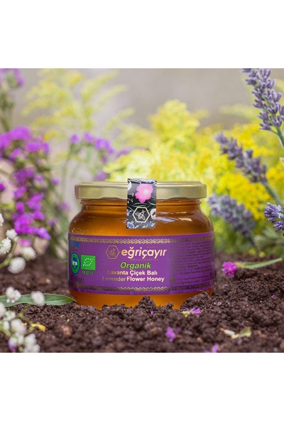 Eğriçayır Lavanta Balı Organik 450g