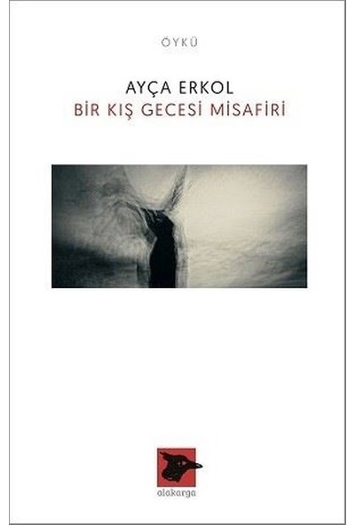 Bir Kış Gecesi Misafiri - Ayça Erkol