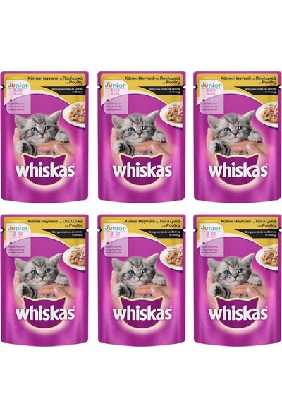 Whiskas Junior Kümes Hayvanlı Yaş Kedi Maması 100 gr x 6 Adet Whiskas Junior Kümes Hayvanlı Yaş Kedi Maması 100 gr x 6 Adet