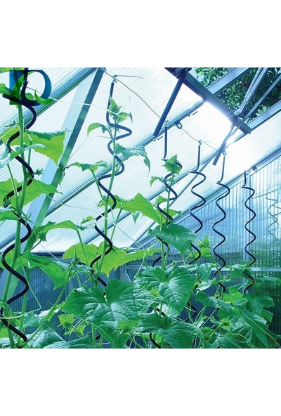 Bahçem 3'lü Spiral Bitki Destek Çubuğu 3 Boy