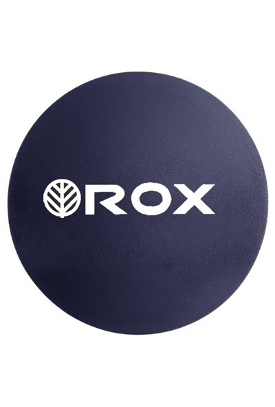 Rox Pro Squash Ball Blue Fast Rox Pro Squash Ball Blue Fast