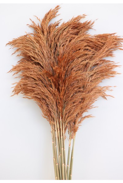 Yapay Çiçek Deposu Şoklanmış Pampas 15LI Büyük Demet 100 CmKaramel Turuncu