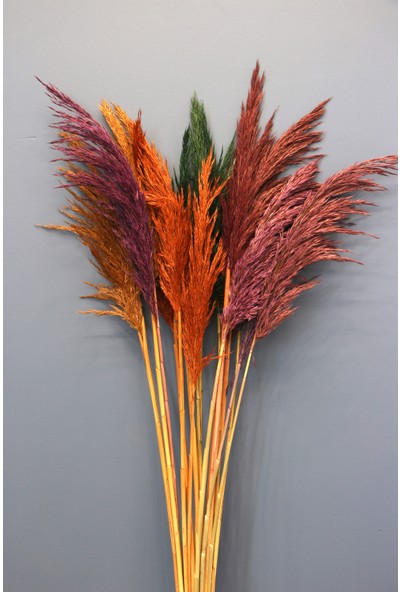 Yapay Çiçek Deposu Şoklanmış 15LI Pampas Otu Karışık Renk 100 Cm