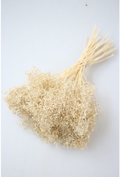 Yapay Çiçek Deposu Kuru Çiçek Cipso Demeti Beyaz-Krem