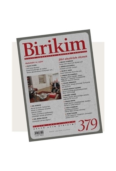 Birikim Sayı 379 - Kasım