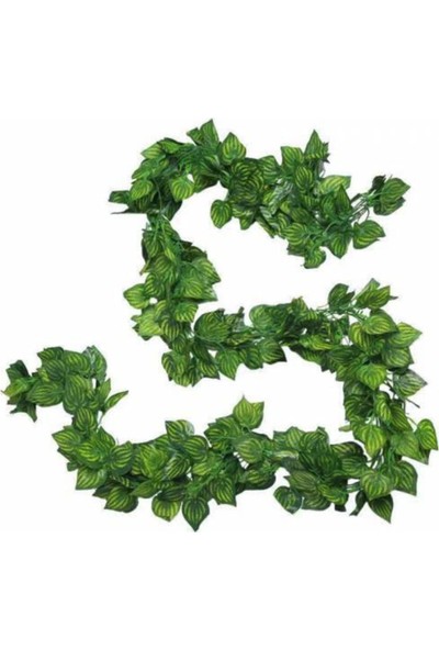 Hediye Vitrini Yapay Sarmaşık 1 Paket Toplam 28 m Hediye Vitrini Yapay Sarmaşık 1 Paket Toplam 28 m