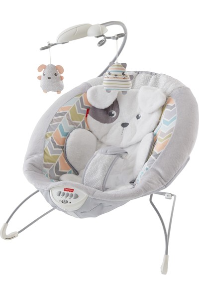 Fisher-Price Sweet Snugapuppy Delüks Ana Kucağı GWD50