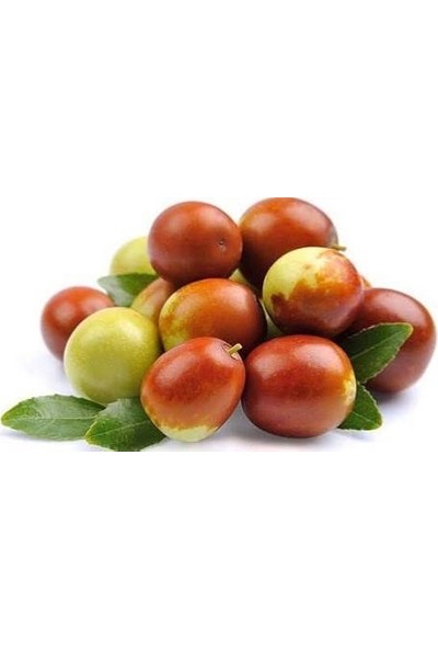 Tropikal Meyveniz Hünnap 500 gr