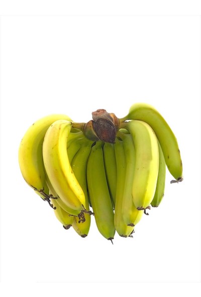 Mezza Natural Organik Muz 1 kg