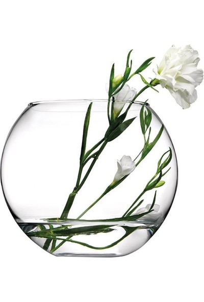 Paşabahçe Cam Fanus 20 cm