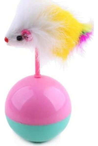 Qax Hacı Yatmaz Kedi Oyun Topu