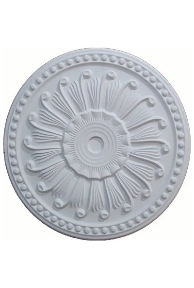 Stropiyer Salyangoz Göbek 40 cm