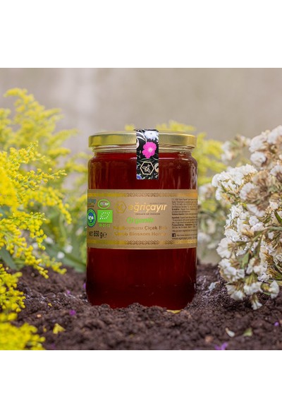 Eğriçayır Harnup Balı Organik 850g Eğriçayır Harnup Balı Organik 850g