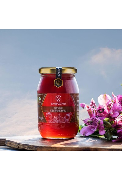 Eğriçayır Organik Kestane Balı 450 gr