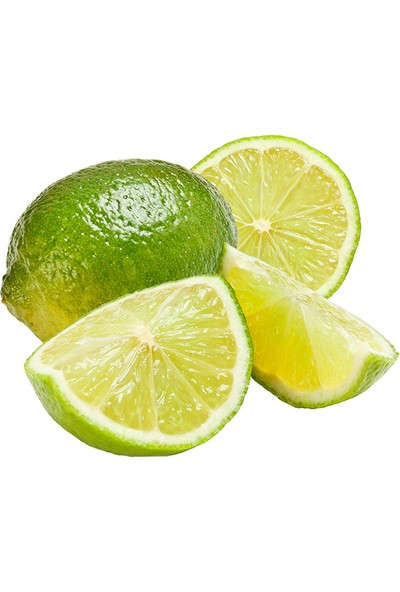 Meyve Ağacım Lime Limon - 5 kg Meyve Ağacım Lime Limon - 5 kg