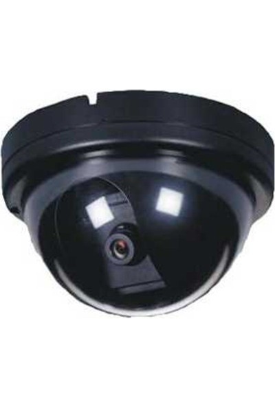 Pembe Karınca Sahte Dome Kamera Pembe Karınca Sahte Dome Kamera