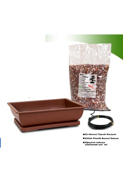 Ören Bonsai Bonsai Kurtarma Kiti Ören Bonsai Bonsai Kurtarma Kiti