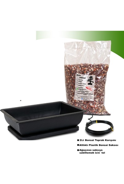 Ören Bonsai Bonsai Kurtarma Kiti Ören Bonsai Bonsai Kurtarma Kiti