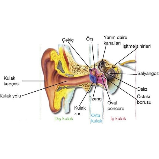Relife 5 x Doğal Kulak Temizleme Mumu Çubuğu Vakumlu Ear Fiyatı