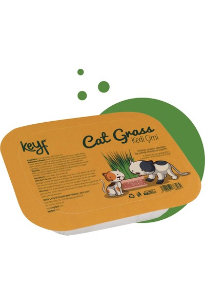Keyf Kedi Çimi Keyf Kedi Çimi