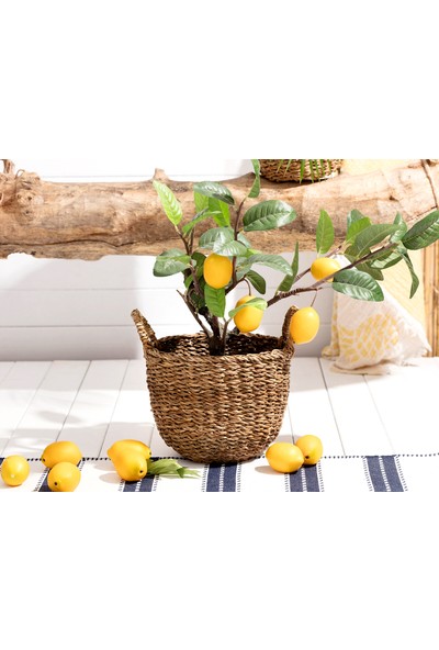 Madame Coco Dorise Orta Hasır Sepet Madame Coco Dorise Orta Hasır Sepet