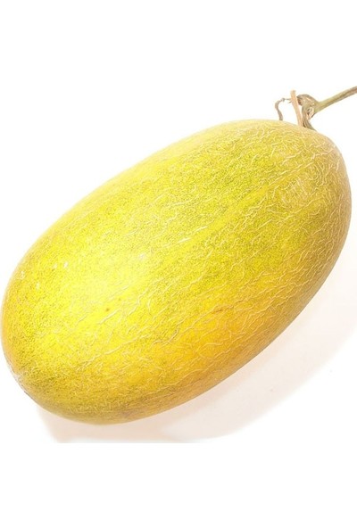 Portakal Çiçeği Davutbey Kavunu Tohumu (%100 Yerli) 10 Adet Portakal Çiçeği Davutbey Kavunu Tohumu (%100 Yerli) 10 Adet