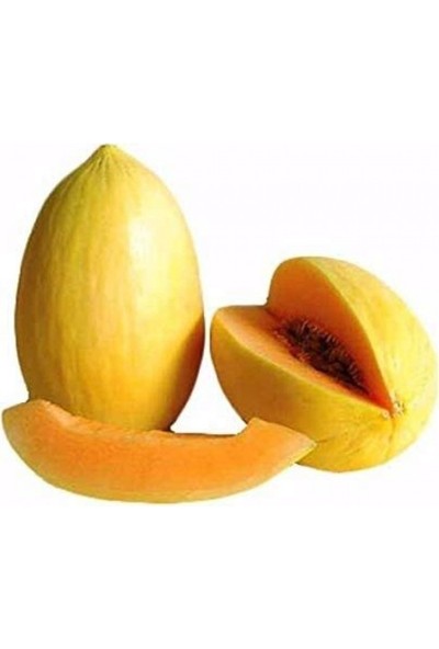 Portakal Çiçeği Bağrıbütün Kavun Tohumu (%100 Yerli) 10 Adet