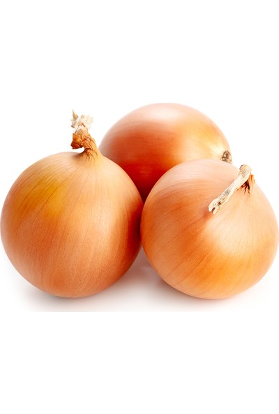 Meyve Ağacım Kuru Soğan - 10 kg