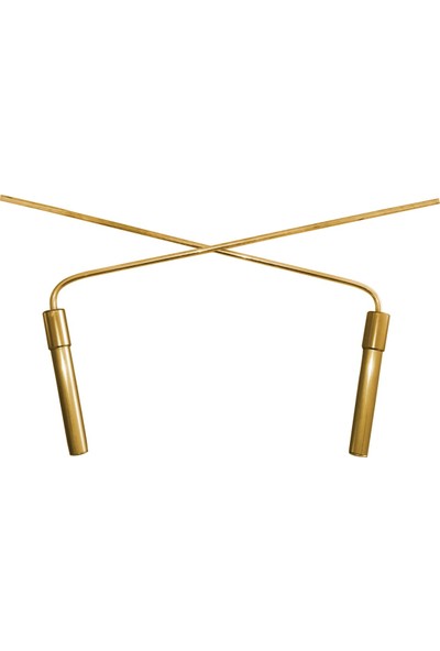 Aktarım Altın Arama Çubuğu